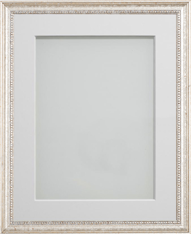 Beatrice Silver 20x10 frame with White mount cut for image size