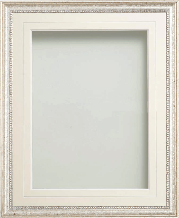 Beatrice Silver 20x10 frame with White V-Groove mount cut for image size