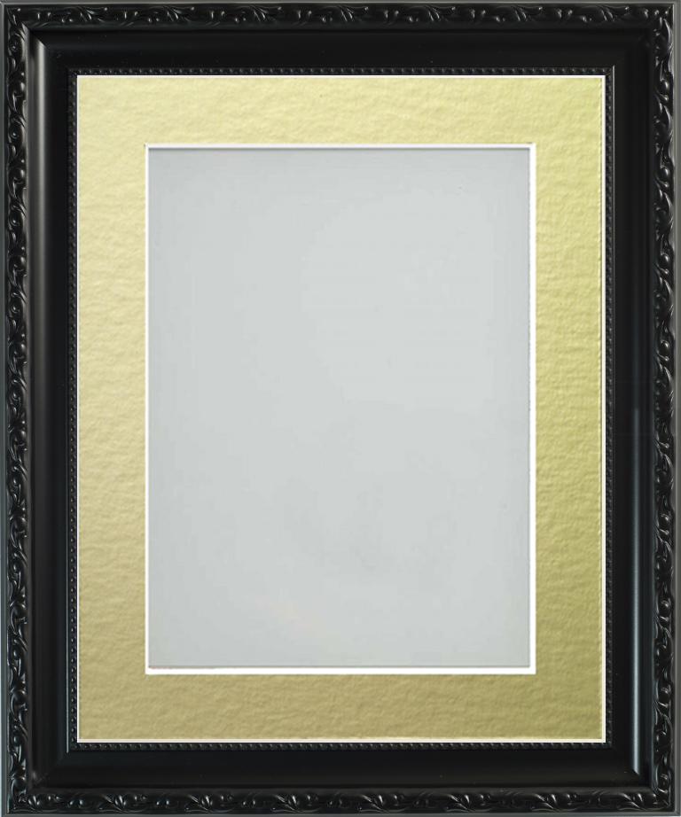 Brompton Black 8x6 frame with Gold mount cut for image size 5x3