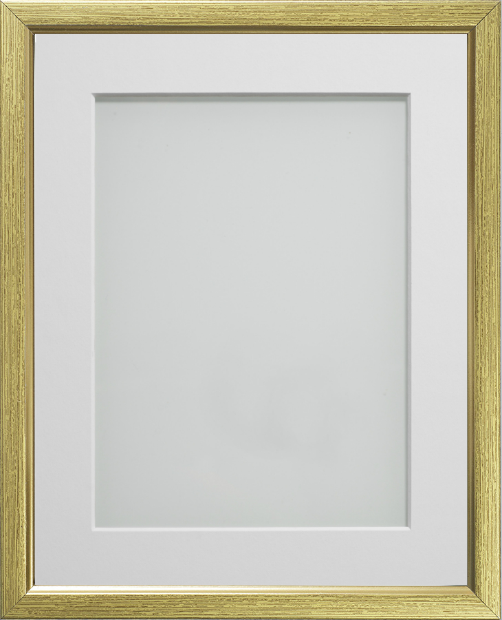 Drayton Gold with Gold Inset A4 (11.75x8.25) frame with White mount cut ...