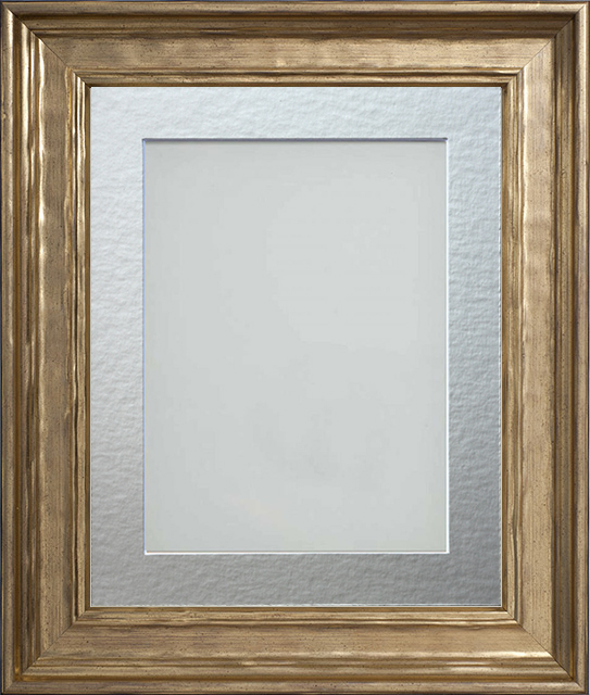 Farraday Gold Leaf A3 (16.5x11.75) frame with Silver mount cut for ...