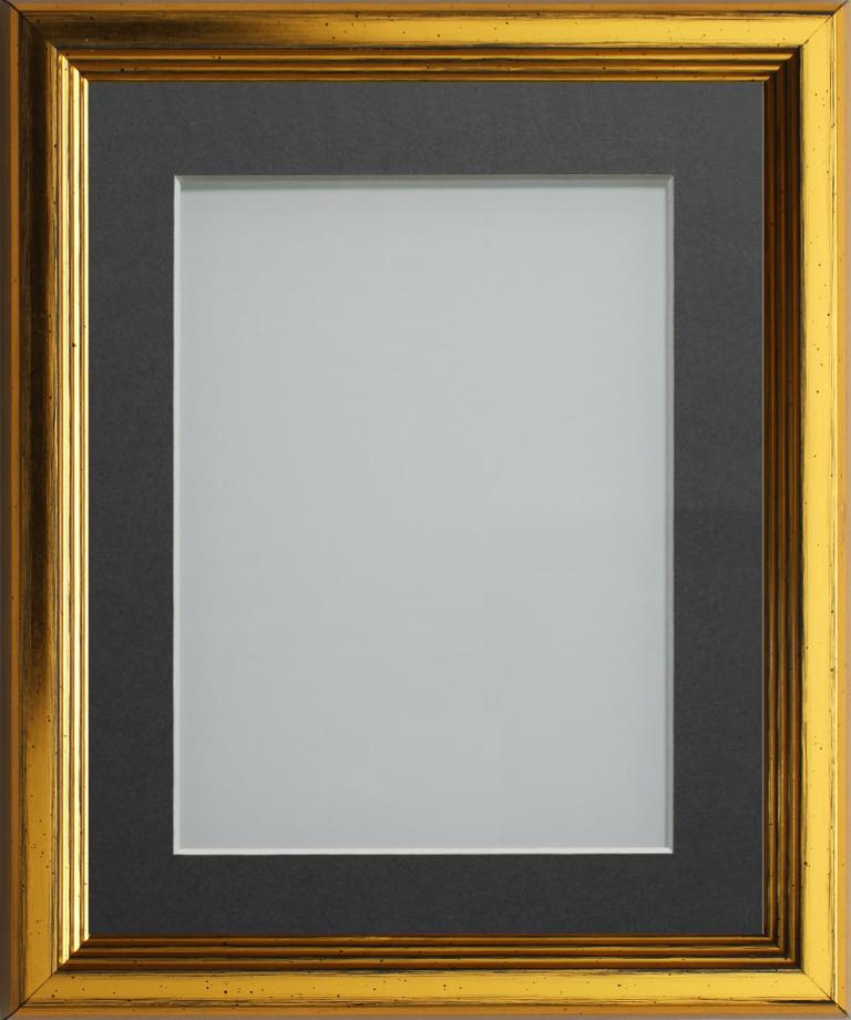 Patterson Gold 14x11 frame with Grey mount cut for image size A4 (11 ...