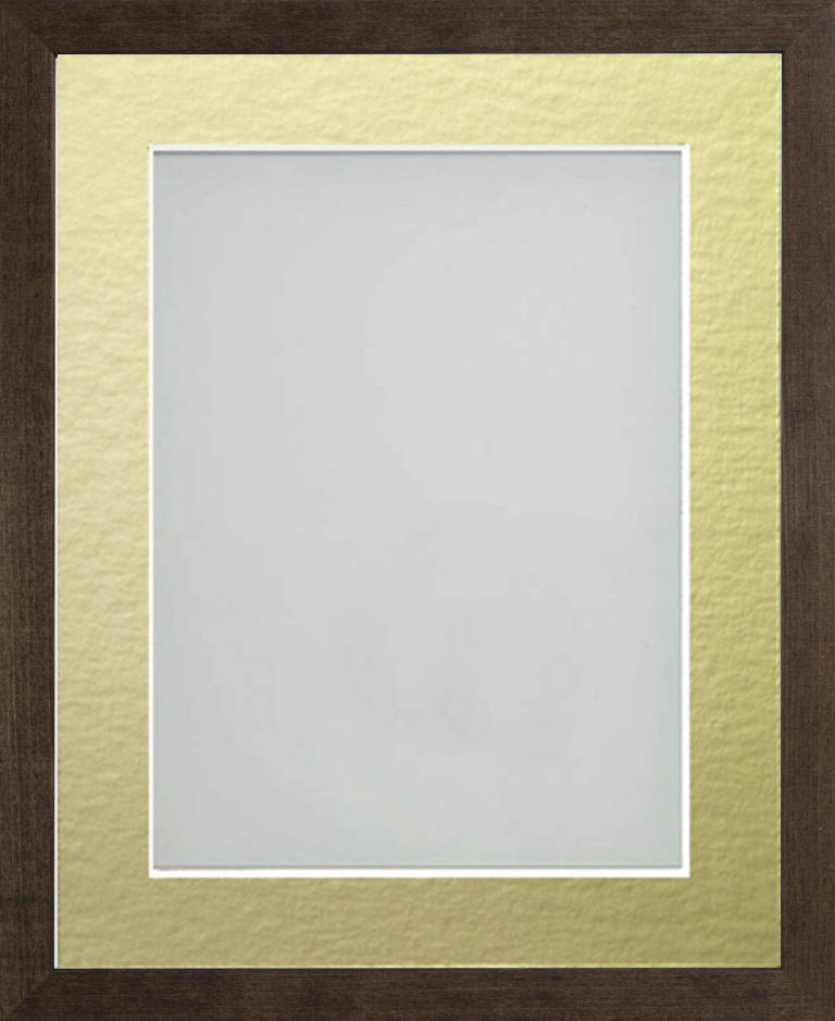 Webber Brown A3+ (19x13) frame with Gold mount cut for image size